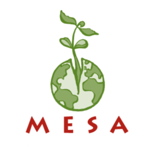 Networks | Good Market Info