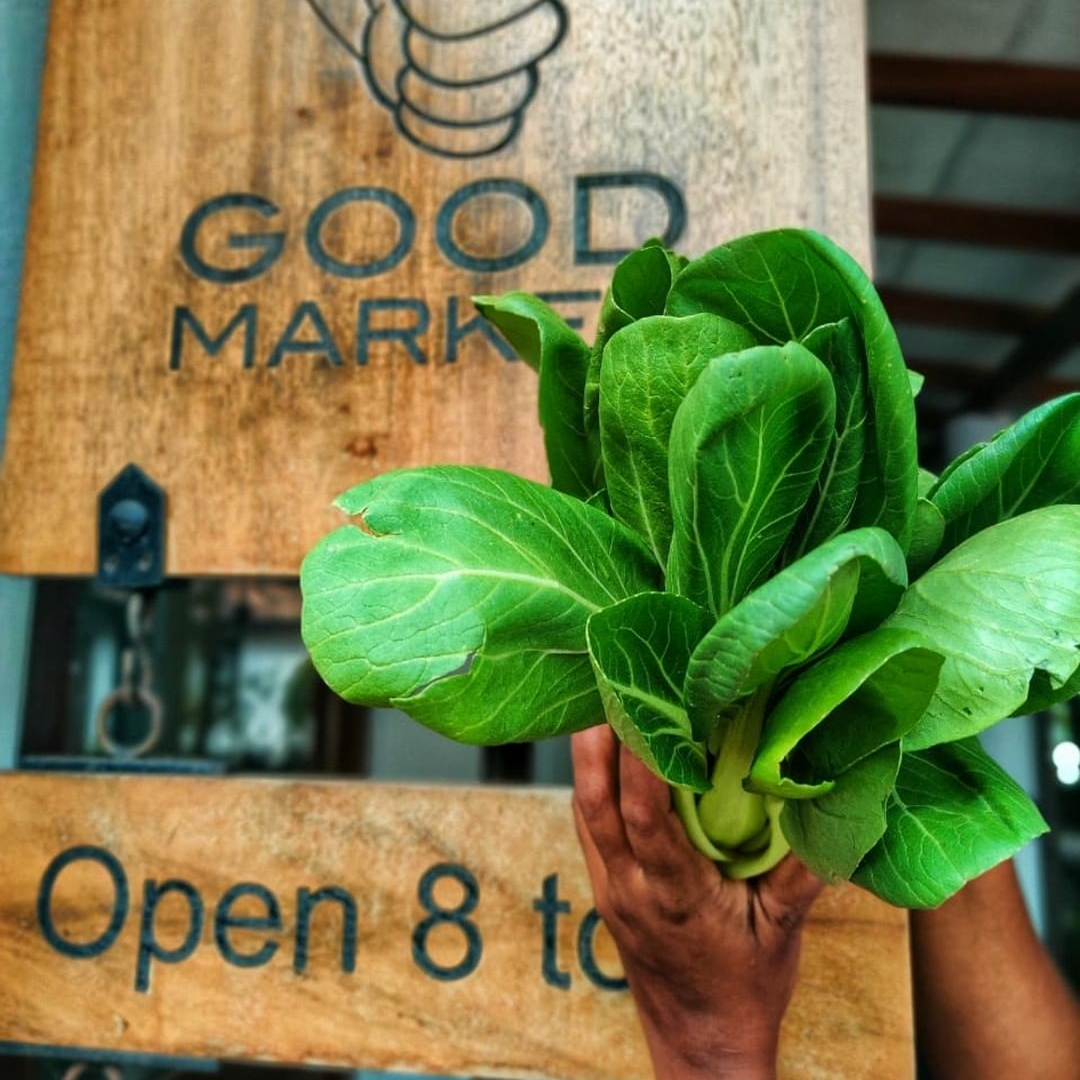 Retail Outlets | Good Market Info